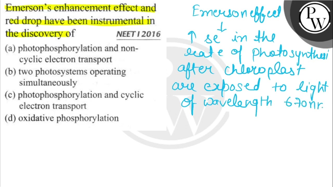 Emerson's enhancement effect and red drop have been instrumental in the ...