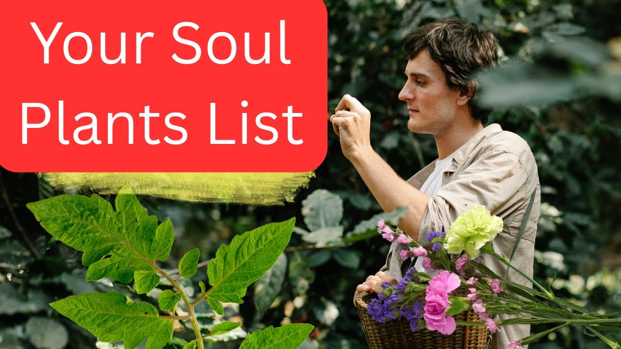 Your Soul Plants List - YouTube