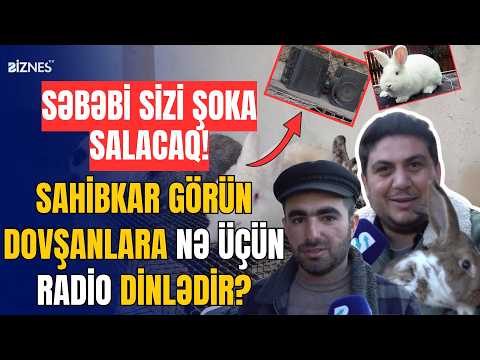 Dovşan ətinin qiyməti açıqlandı - Görün qiymətlər necə dəyişir?