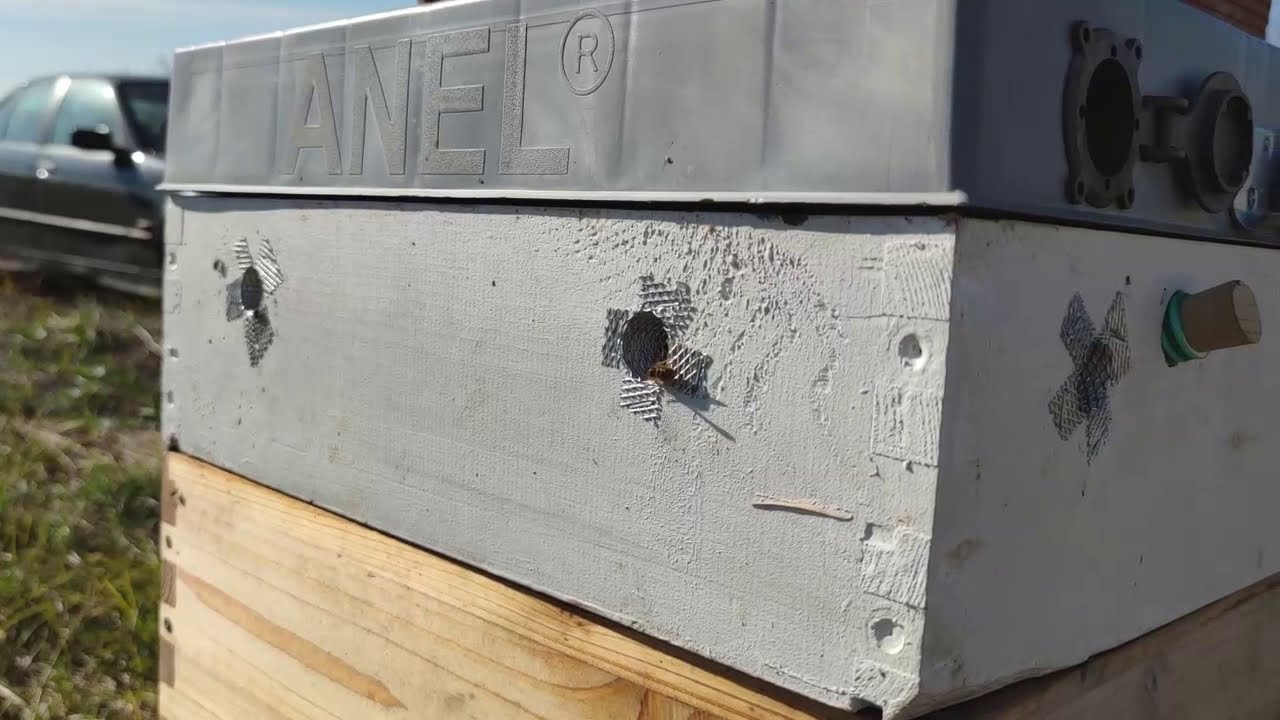Best Wasp Trap (Yellow Jackets) for Beekeepers - YouTube