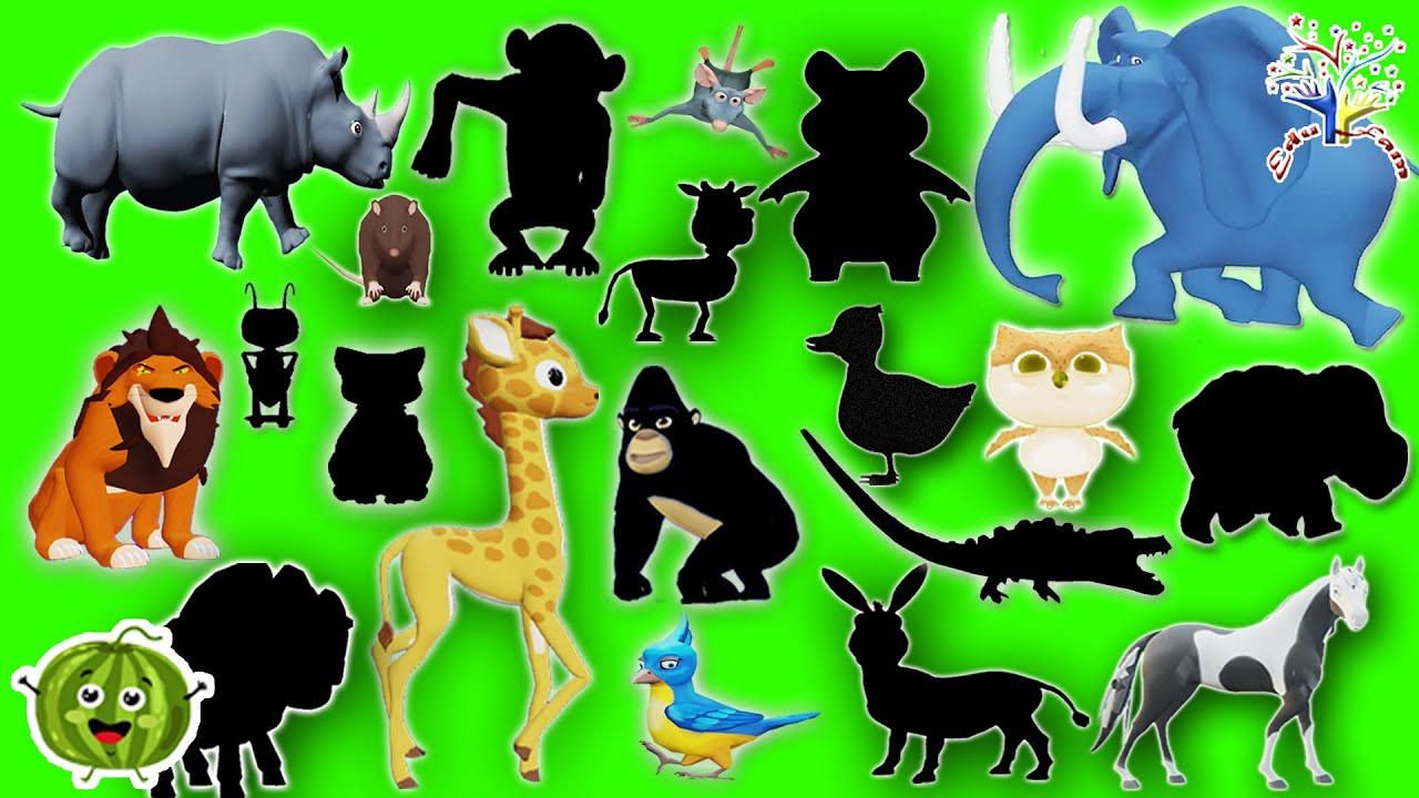 Animal Sound Song AG11AG8 || Let's guess the animals everyday! || Kids ...