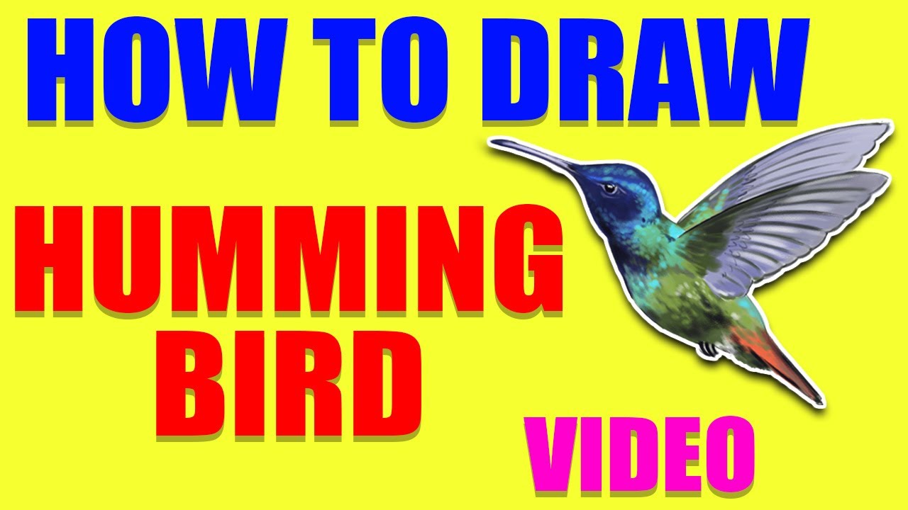 HOW TO DRAW A HUMMING BIRD VIDEO | Hummingbird drawing with colour ...