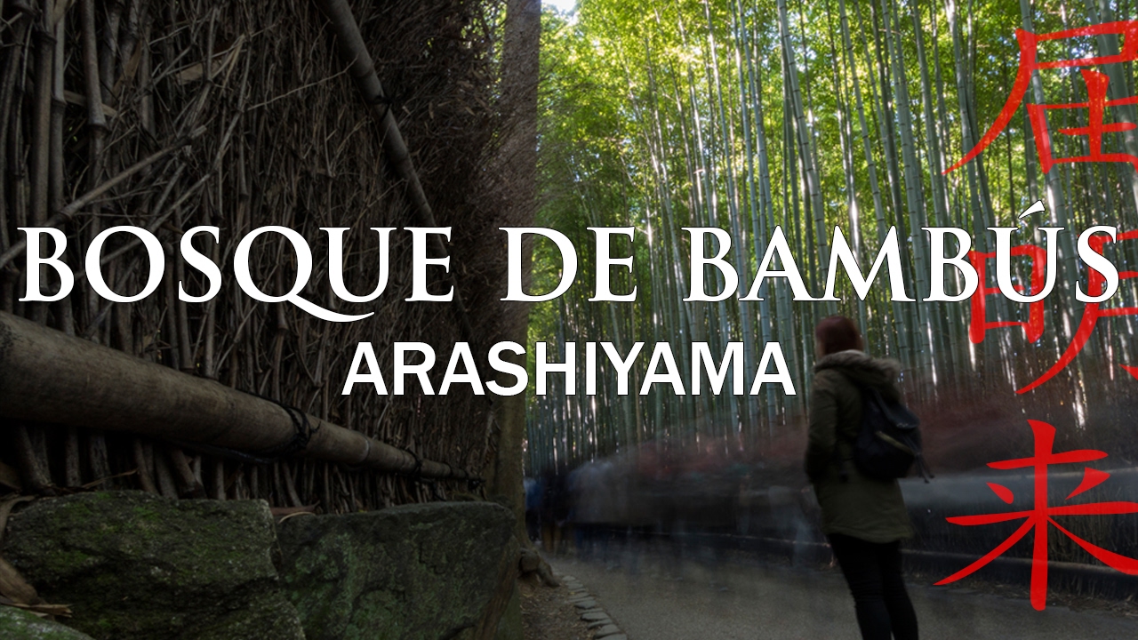 BOSQUE DE BAMBÚ EN KIOTO. QUÉ VER EN ARASHIYAMA - gtmdreams - YouTube