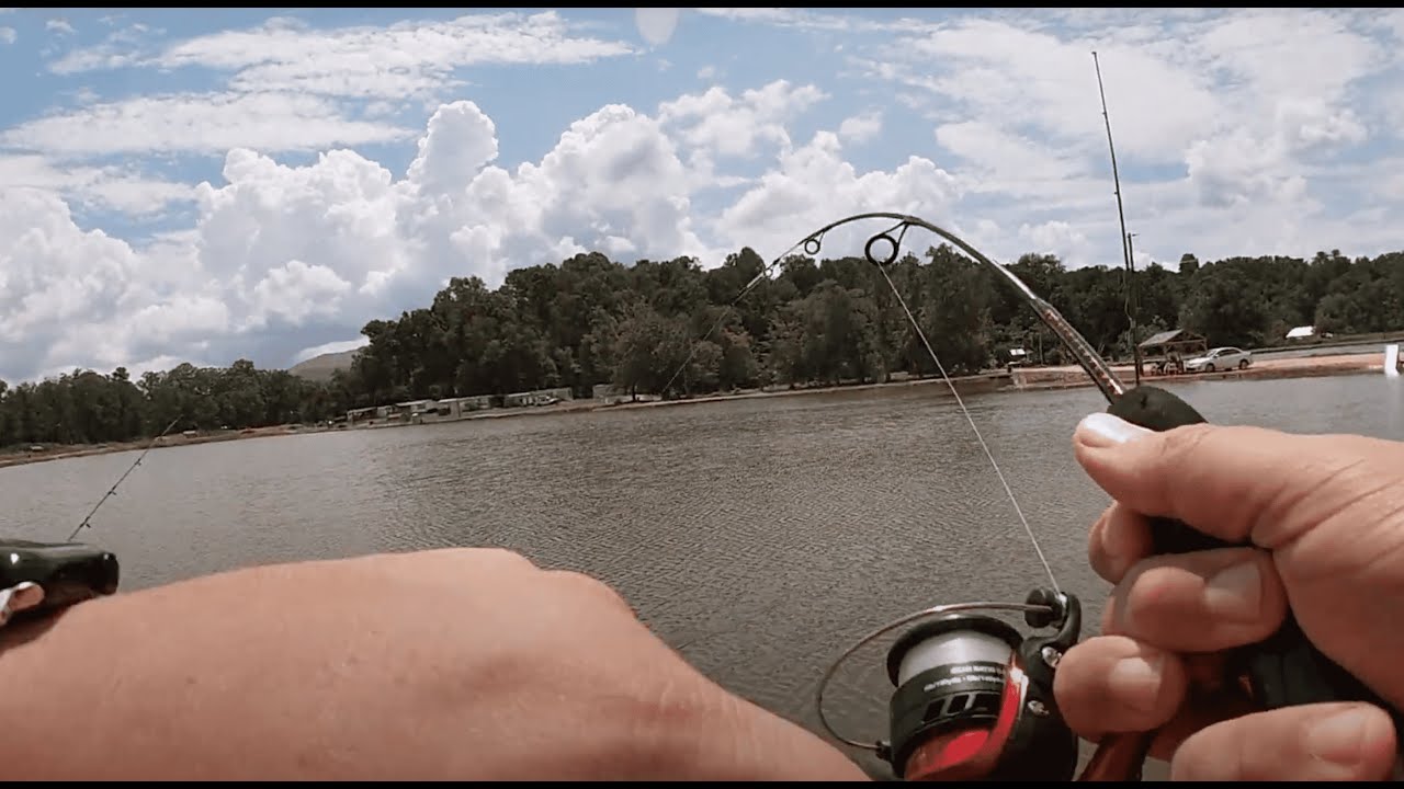 Catching MONSTER Channel Catfish on a $20 Walmart Pole! - YouTube