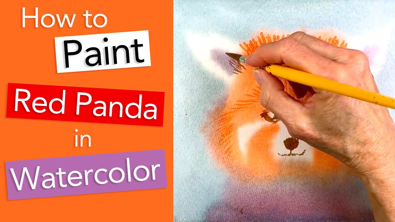 How to Paint a Red Panda in Watercolor - YouTube