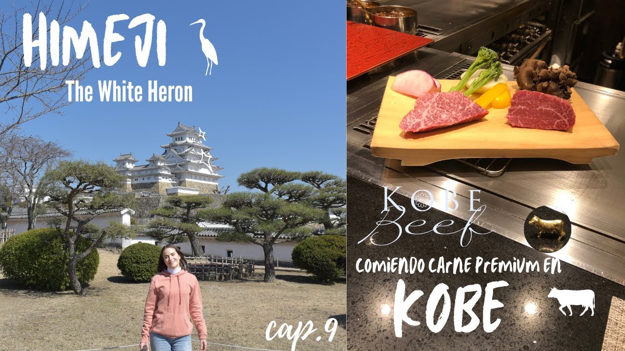 Conoce el castillo japonés más bonito 🏯 Himeji Castle | La mejor carne ...