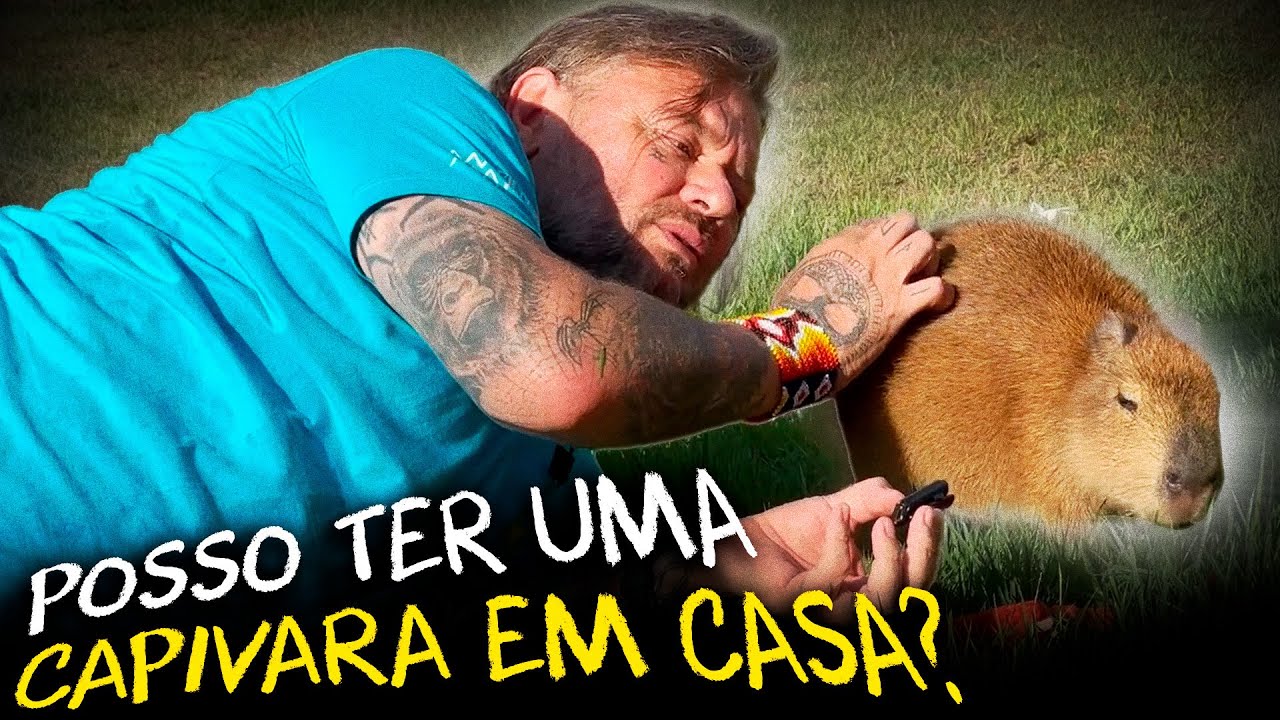 VOCÊ PODE TER UMA CAPIVARA COMO PET! - YouTube