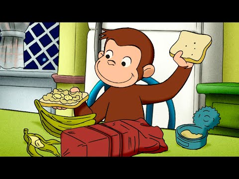 Nachtaktive Tiere | Coco der Neugierige | Cartoons für Kinder