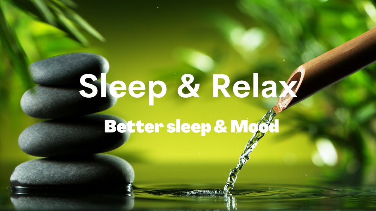 Sleep & Relax | Nature Rain Forest | 4K - YouTube