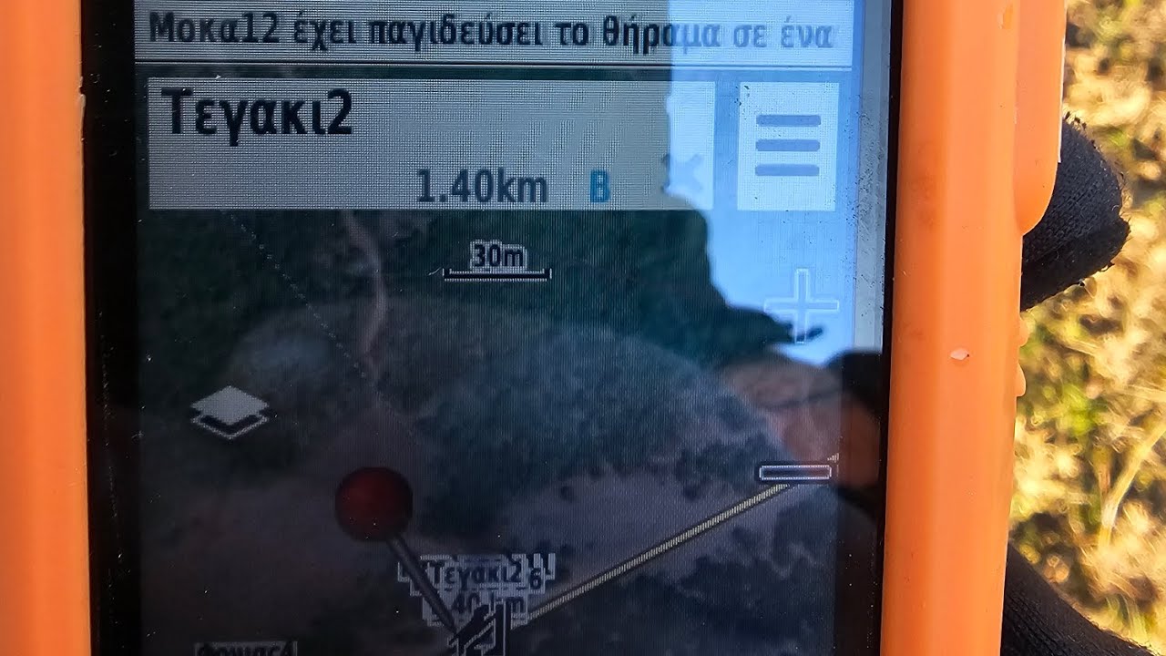 Κυνήγι Λαγού: "Δυνατές διώξεις και ένας πιασμένος απ τα σκυλιά" - YouTube