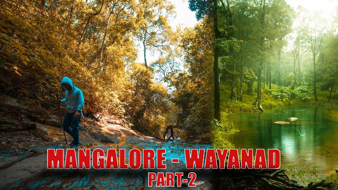 RIDING IN HEAVY RAIN AND FOG || MANGALORE TO WAYANAD || MONSOON RIDE ...