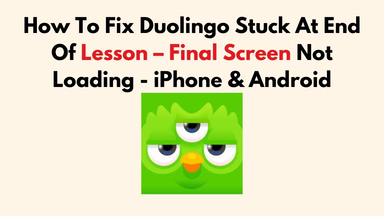 How To Fix Duolingo Stuck At End Of Lesson – Final Screen Not Loading ...