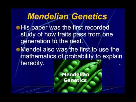 Chapter 5 Lesson 1 on Gregor Mendel - YouTube
