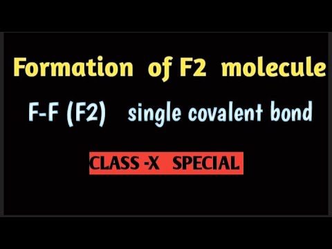 formation of F2 molecule - YouTube