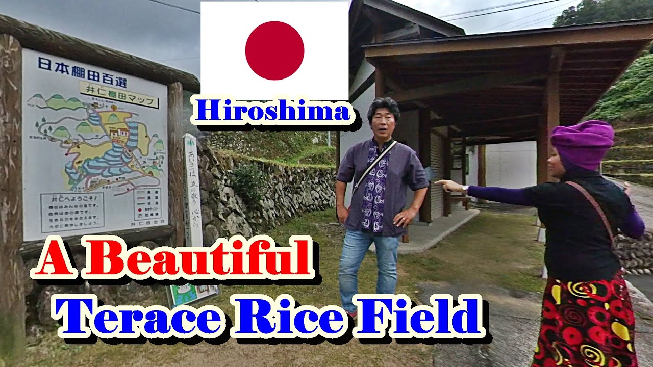 WElcome to Ini Tanada The famous terrace rice field in Hiroshima - YouTube