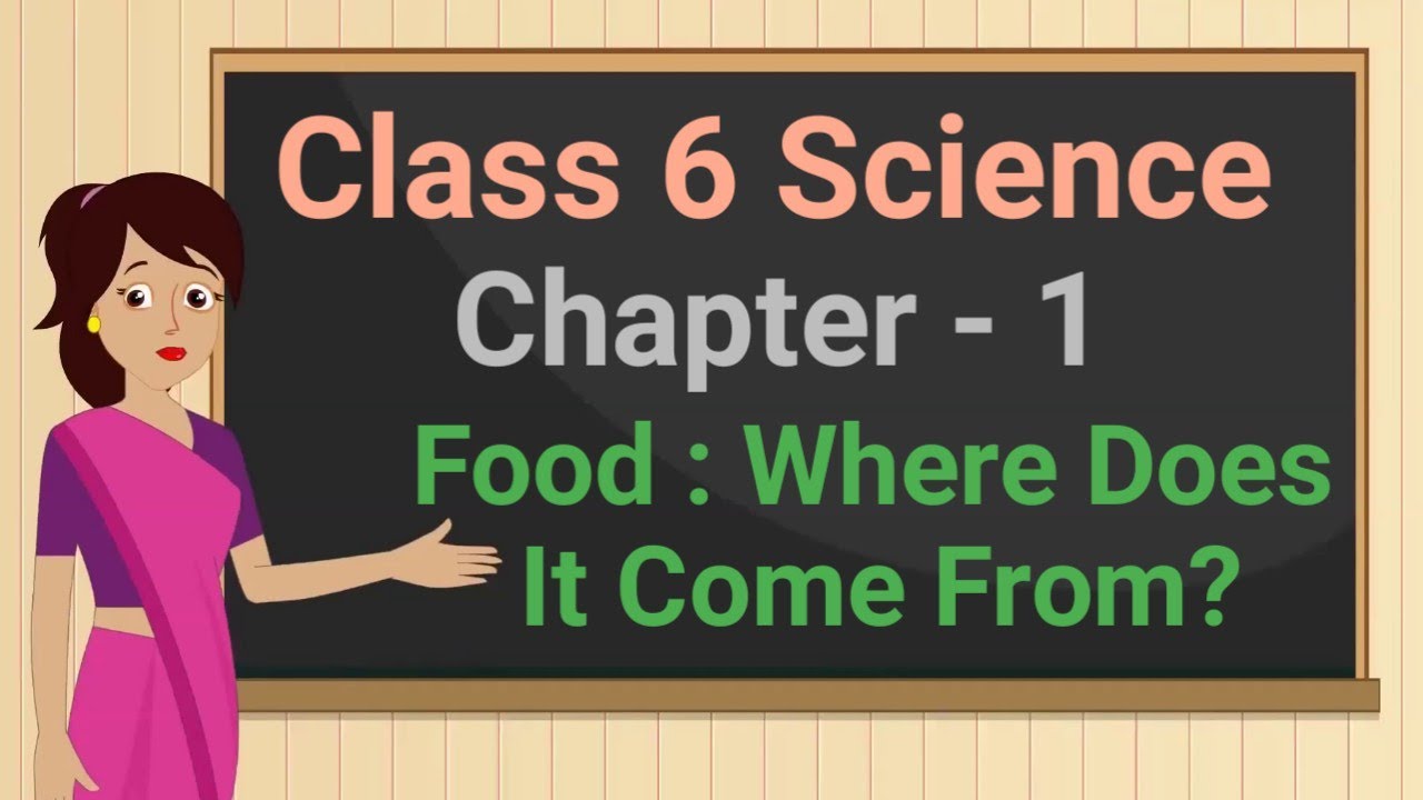 Class 6 Science Chapter 1 'Food : Where Does It Come From' (full ...
