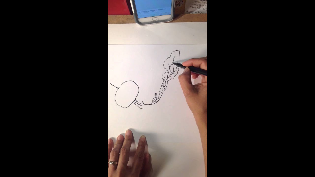 Continuous Line Contour Drawing Introduction - YouTube
