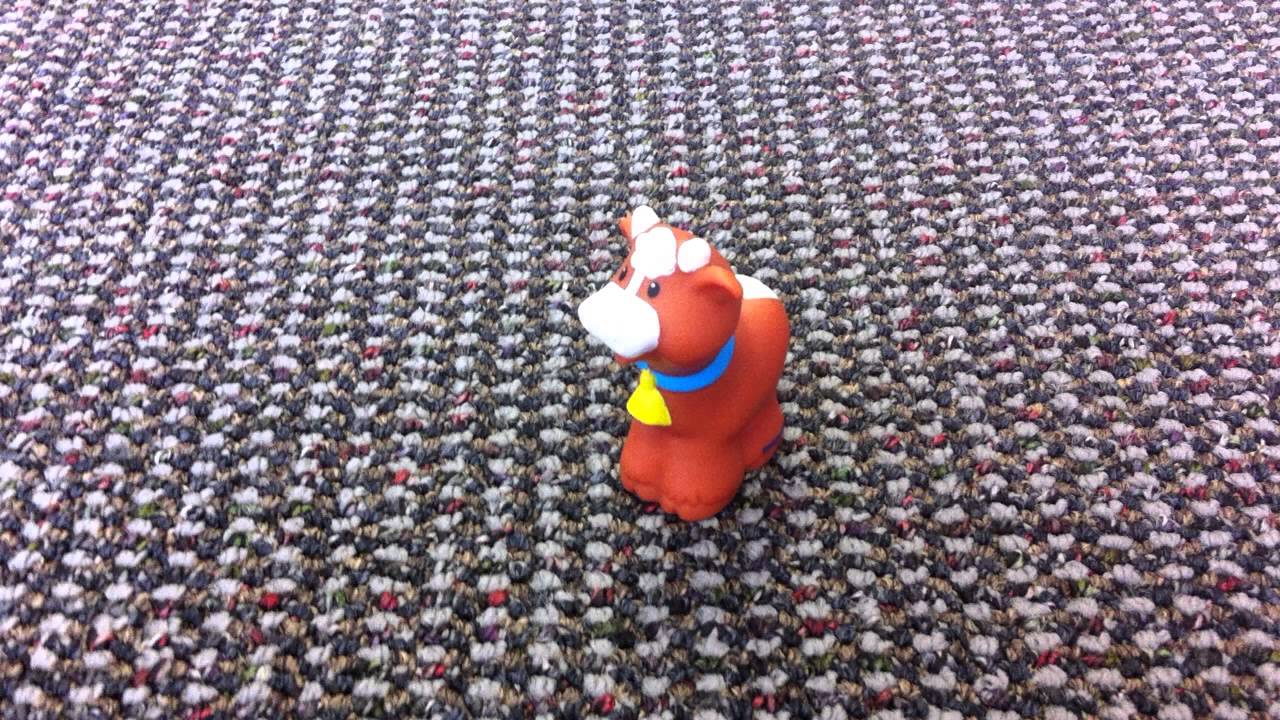 Frank the cow - YouTube