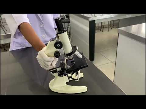 “HOW TO USE A MICROSCOPE” 3A PHARMACY #Task3Procedure # ...
