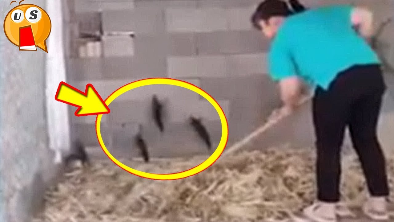 50 Incredible Moments Caught on Camera! #3 - YouTube