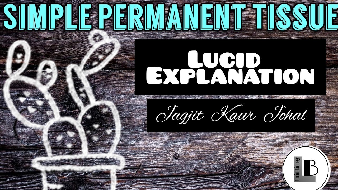 SIMPLE PERMANENT TISSUE Class 9 Jagjit K Johal YouTube simple-permanent-tissue-class-9-jagjit-k-johal-youtube
