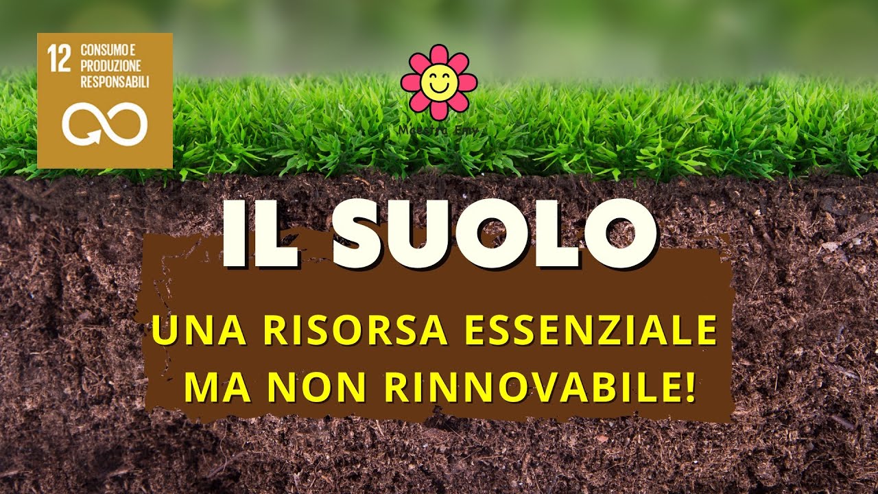 🌍 L'IMPORTANZA DEL SUOLO - Una risorsa essenziale ma molto fragile e non rinnovabile - YouTube