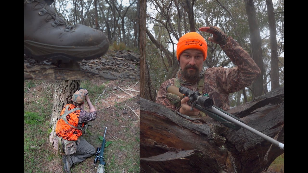 Forest Stalking Techniques | Tips on Concealment and Moving Undetected ...