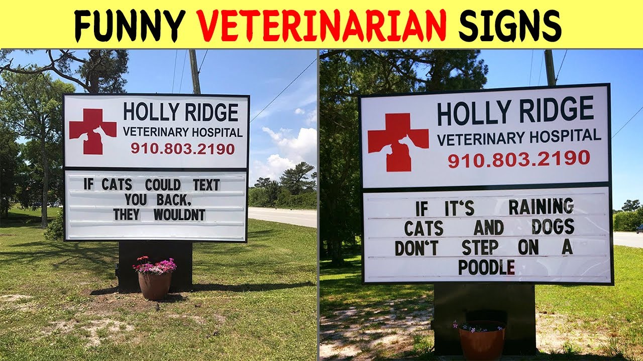 50 Genius Vet Signs That Will Make You Laugh. - YouTube