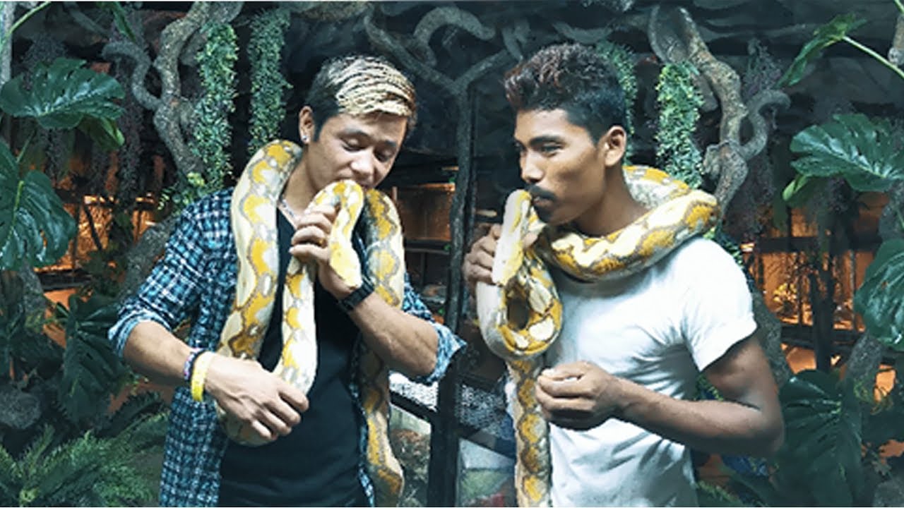 Kiss Kiss!!! No Problem ♦ Man Kissing Snake - YouTube