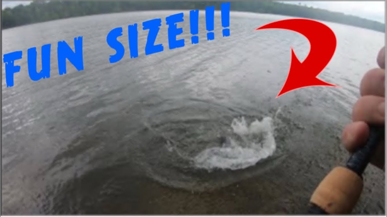Summer Catfishing with LIGHT TACKLE - YouTube