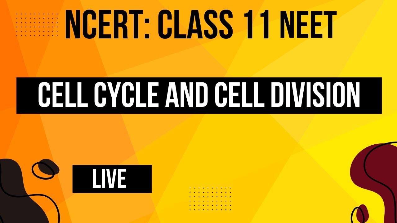 Live Cell Cycle and Cell Division Class 11 NEET New Video with Old Hand ...