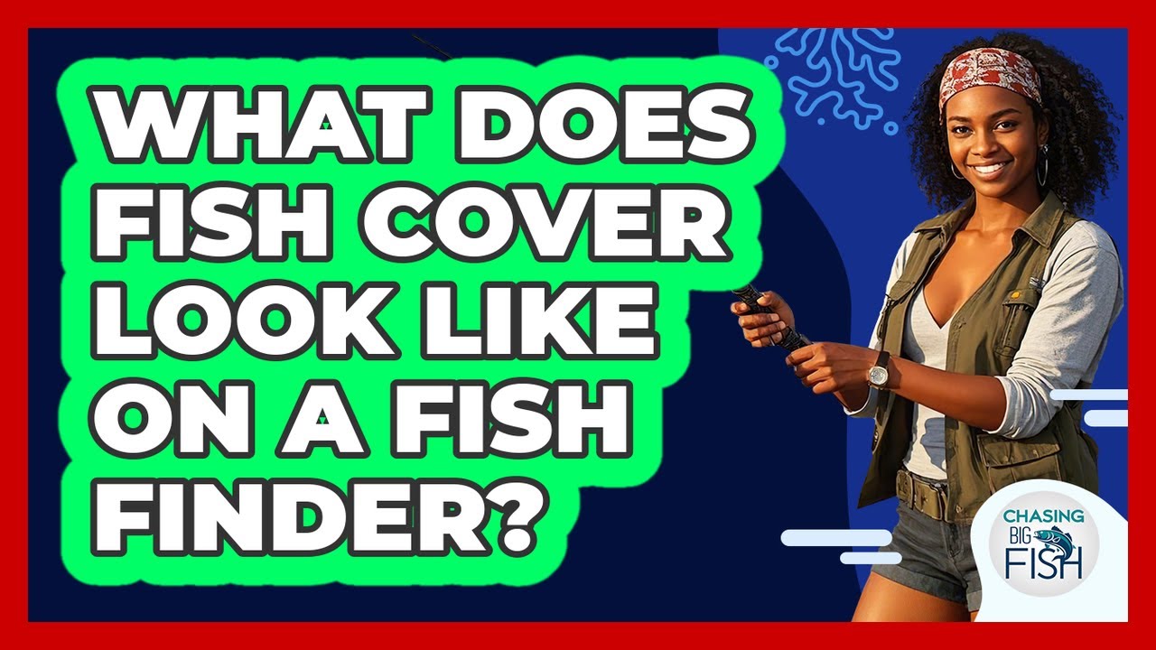 What Does Fish Cover Look Like On A Fish Finder? - YouTube