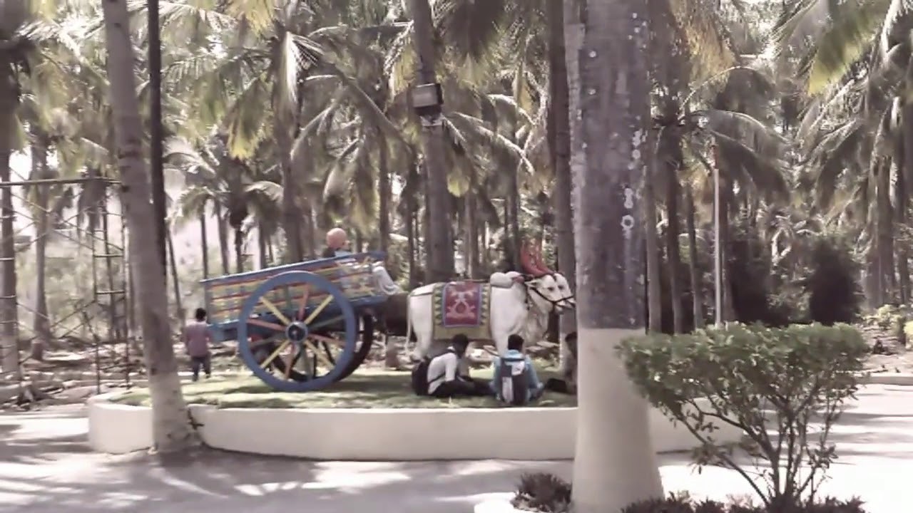 DY PATIL COLLEGE OF AGRICULTURE TALSANDE || CAMPUS|| #2019 - YouTube