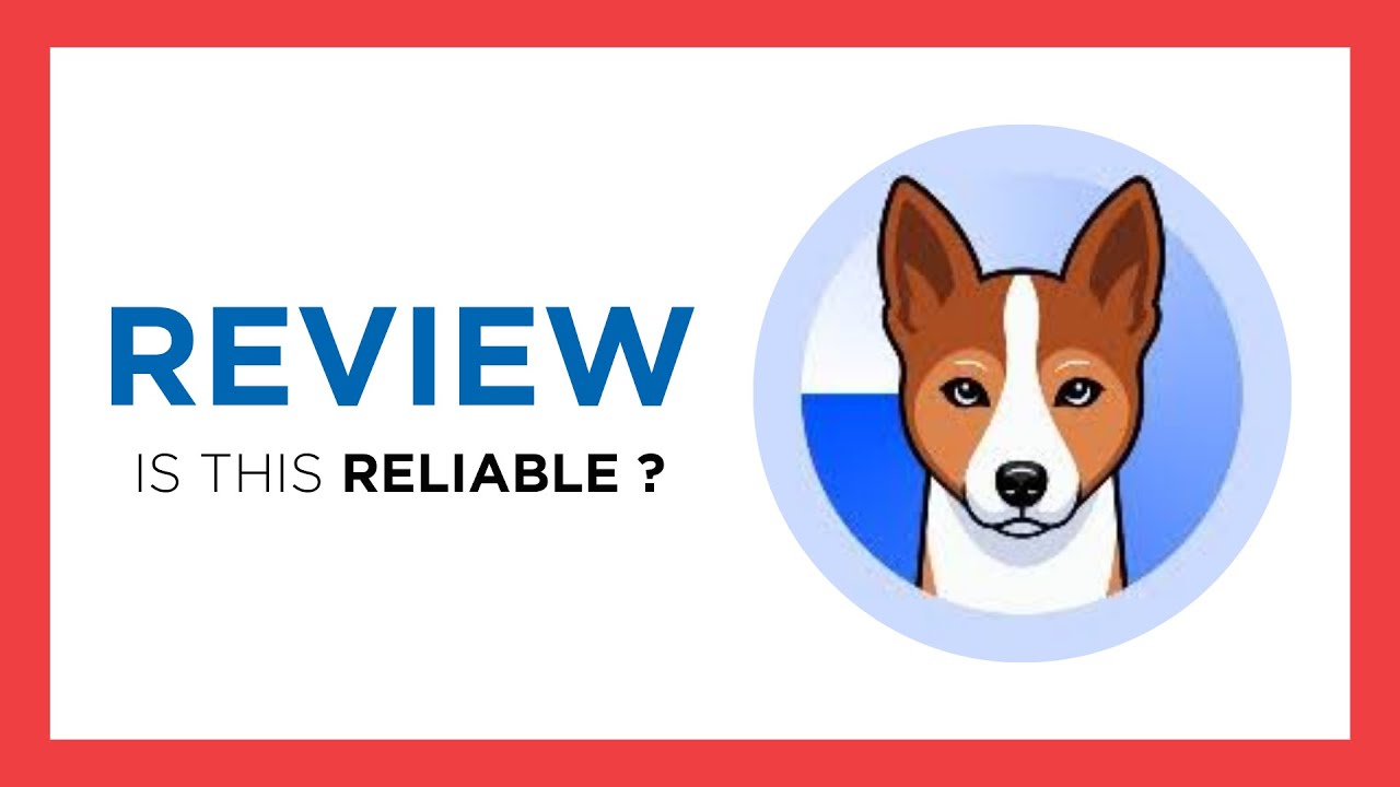 BASENJI COIN ($BENJI) : FULL REVIEW (Token, Staking, News, Crypto ...