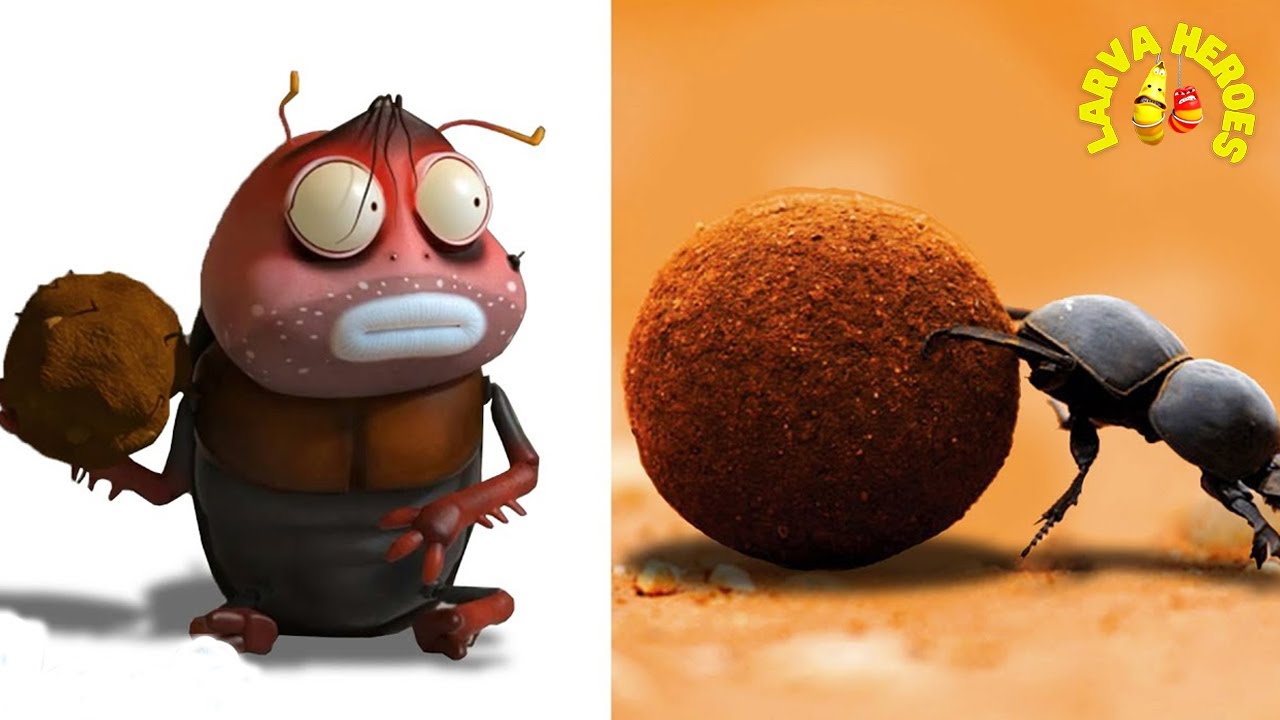 LARVA SEASON 1 EPISODE 80 ~ 315 🍓 Larva Cartoons Comedy New Version 🍉 ...