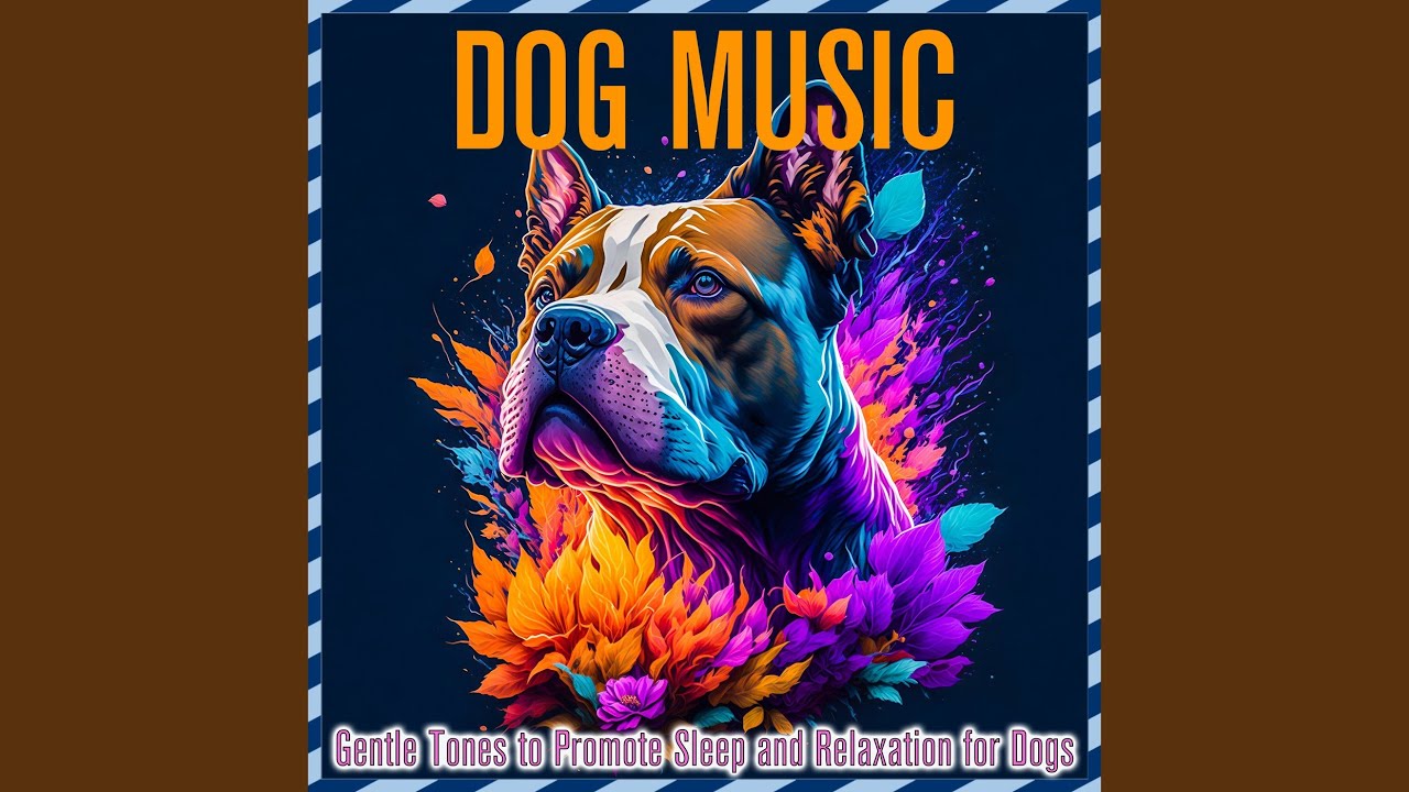 Music For Dogs YouTube music-for-dogs-youtube