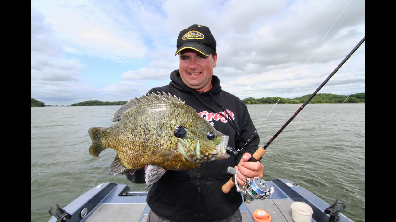 Mid Summer Panfish - YouTube
