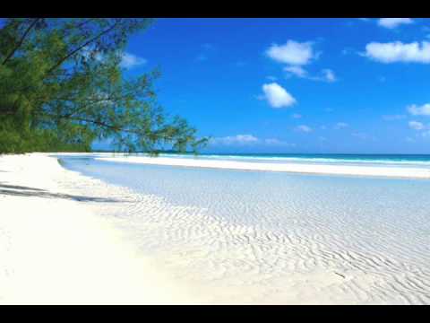 ATB- The summer 2011