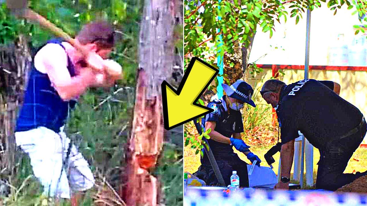 Man Cuts Down A Tree - POLICE SHOW UP TO HIS HOUSE IMMEDIATELY FOR A ...