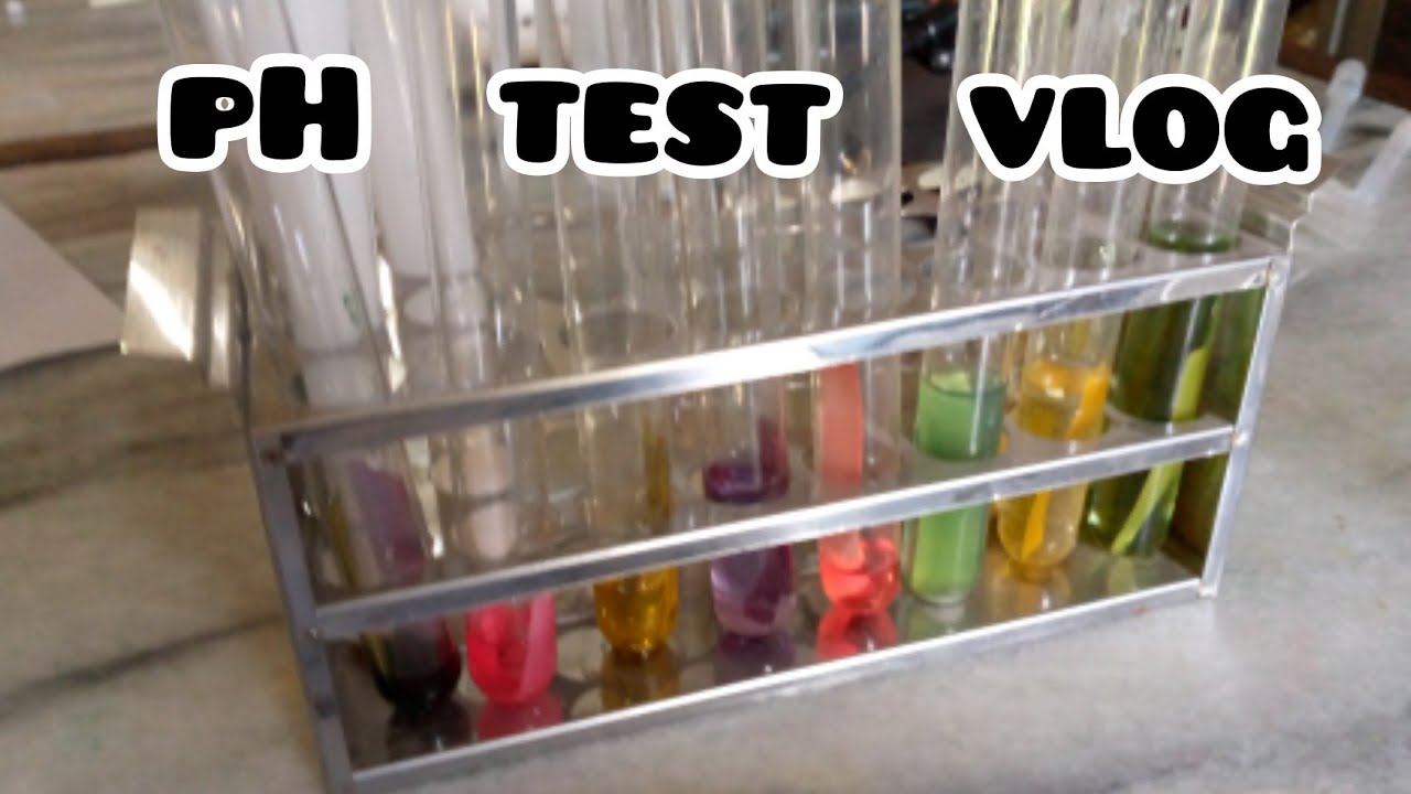 vlog on amazing experiment in lab|| pH test in chemistry lab || pH test ...