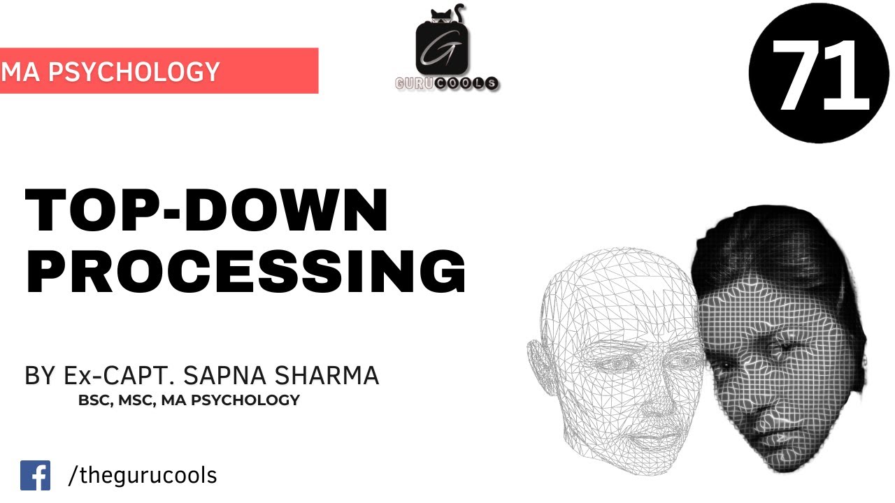 Top-down Processing - YouTube