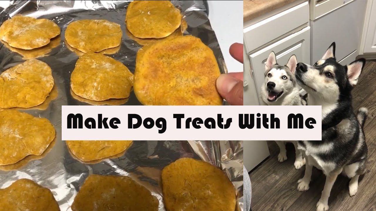 Best Dog Treats｜Pumpkin Peanut Butter Cookies for Dogs｜Huskies - YouTube