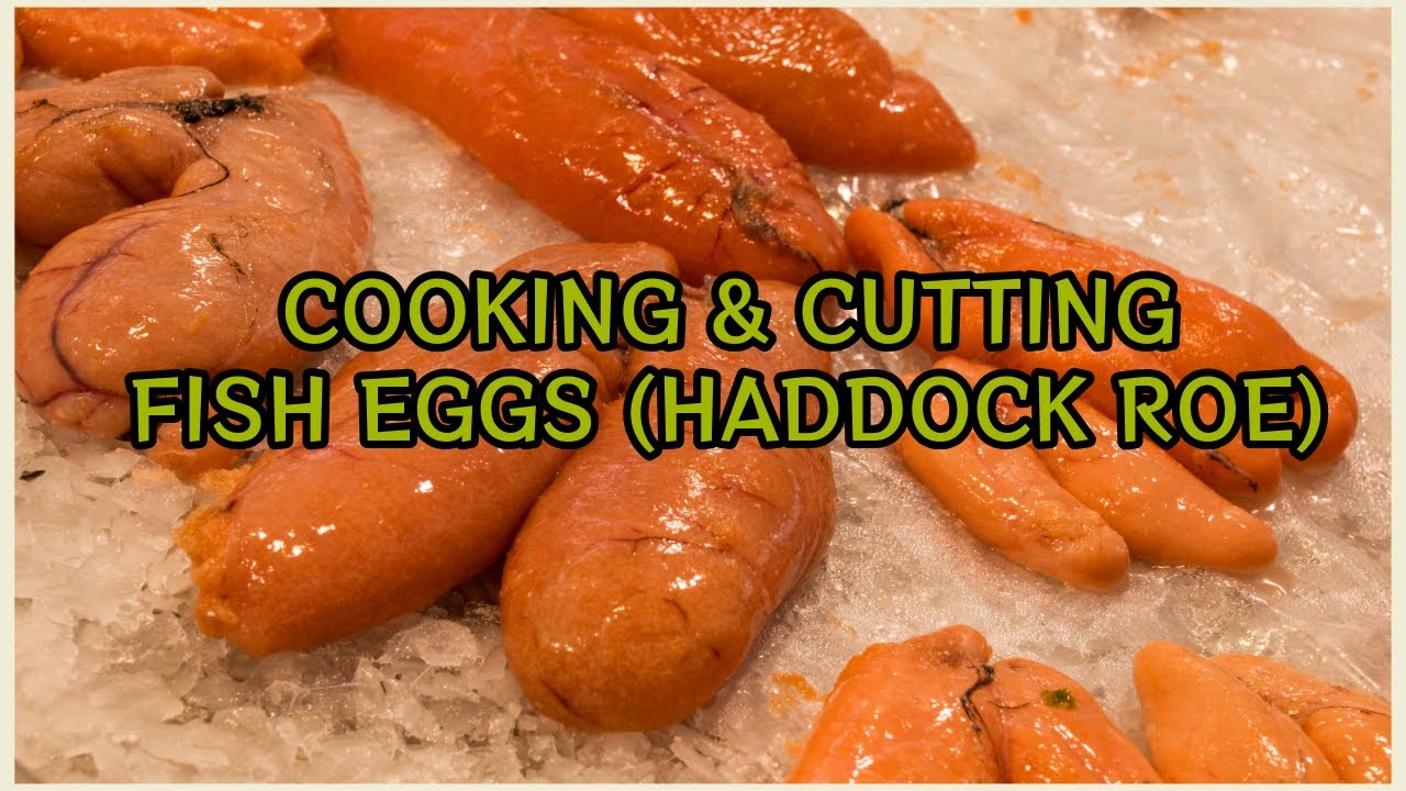 COOKING CUTTING FISH EGG (HADDOCK ROE) #FISHEGG #ROE #EGG - YouTube