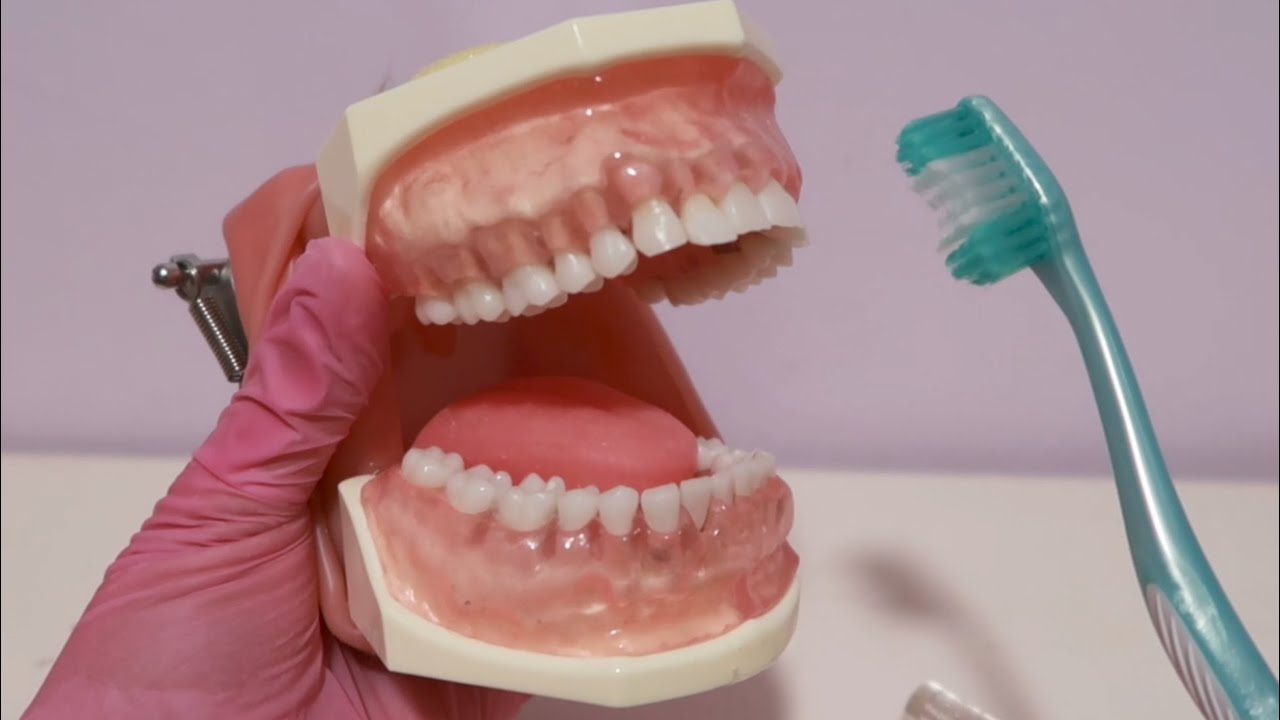Como Cepillarse los Dientes y Usar Hilo Dental Correctamente || Spanish ...