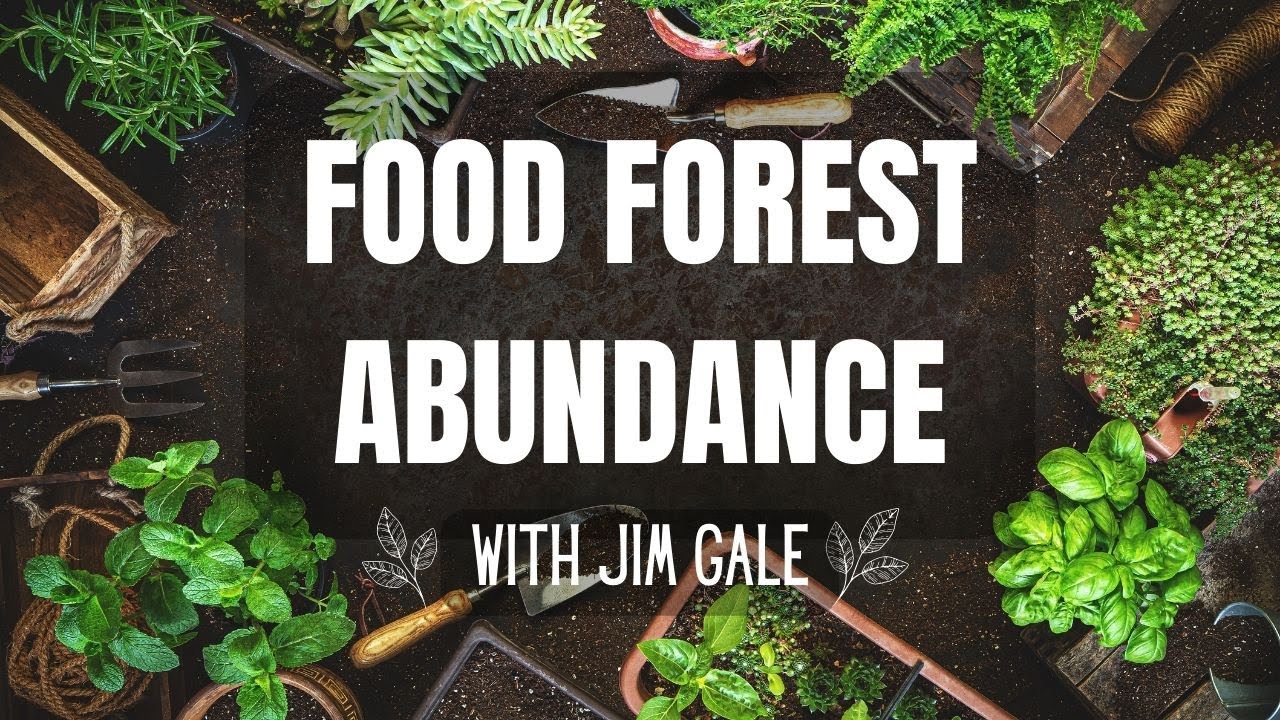 Jim Gale - Food Forest Abundance - YouTube