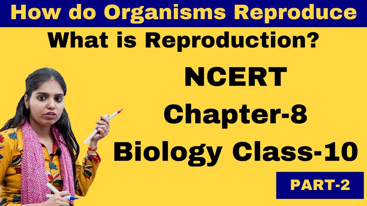 Spore Formation || NCERT Science || Class 10 || CHAPTER 8 || How do ...