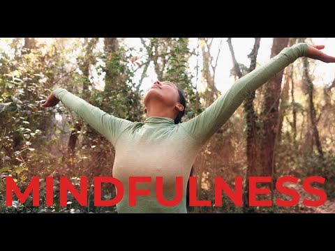 Exploring Mindfulness: Quotes & Analog Lens Magic - YouTube