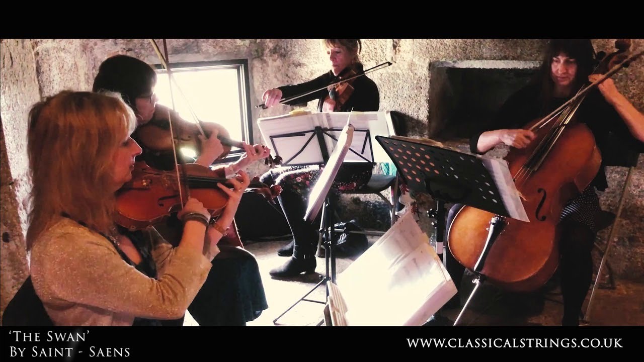 String Quartets 'The Swan' by Saint Saens - Classical Strings Cornwall - YouTube