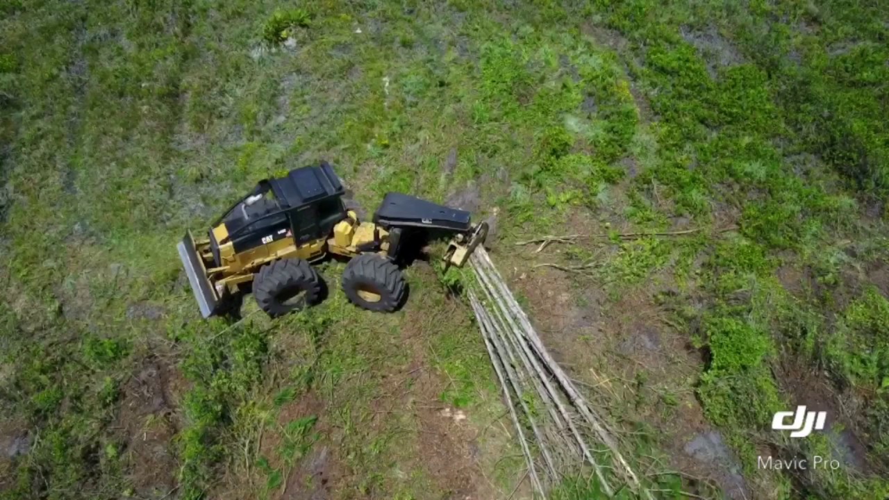 Cat 545 delimbing - YouTube