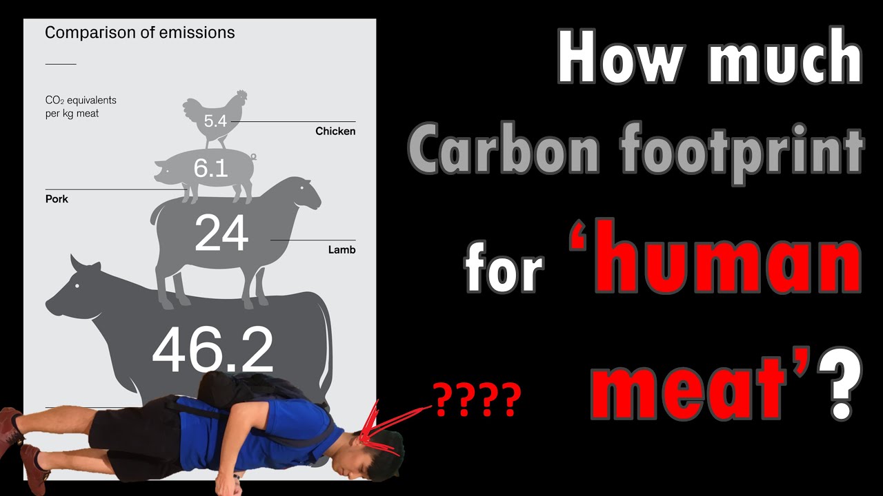 How much Carbon footprint for ‘human meat’? - YouTube